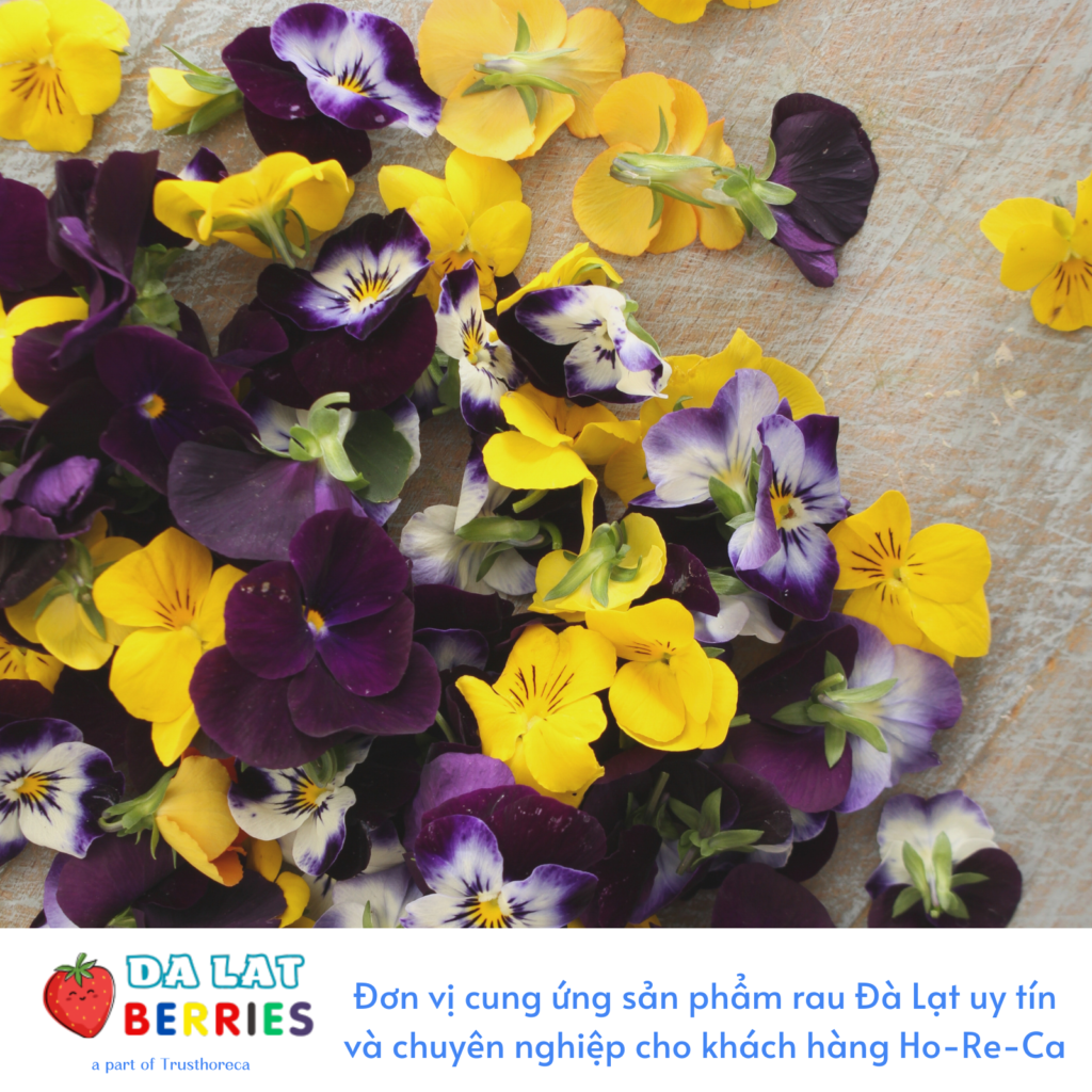 Hoa Bướm Viola Mixed Edible Flowers - Dalat Berries - Vị ngọt từ đất lành