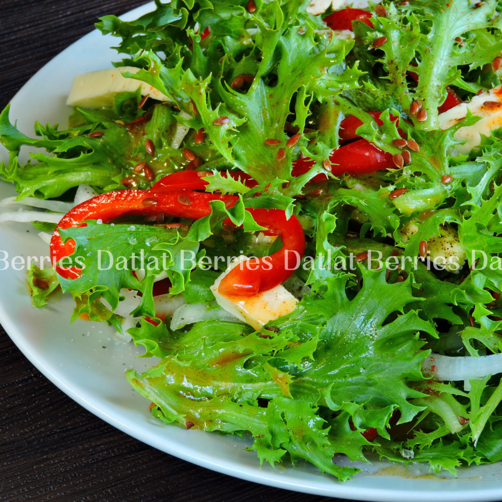 Xà Lách Frise - Dalat Berries - Vị ngọt từ đất lành