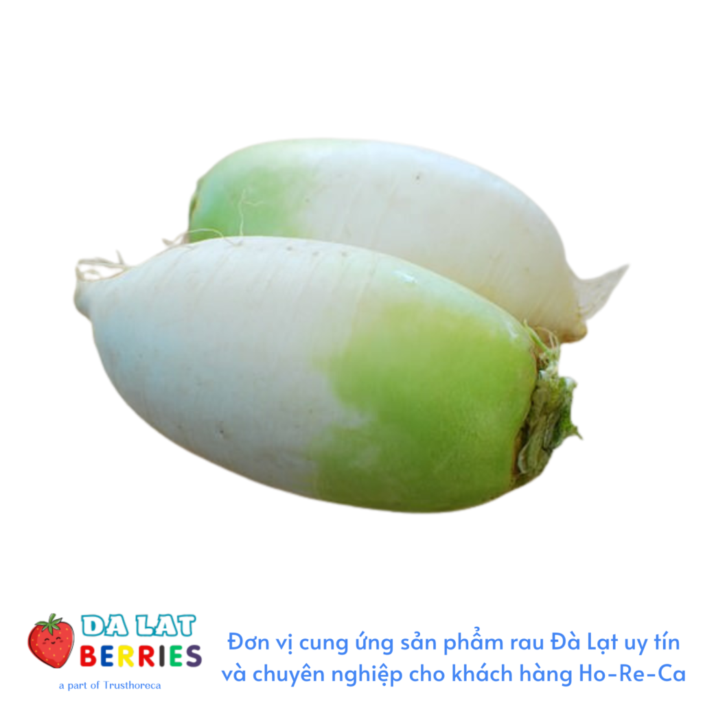 Củ Cải Hàn Quốc - Dalat Berries - Vị ngọt từ đất lành
