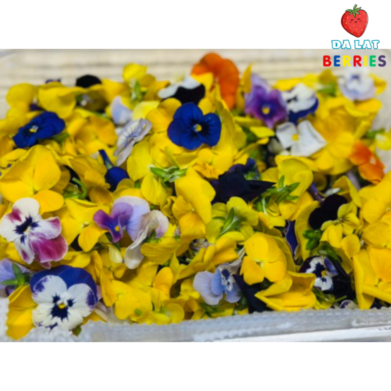 Hoa Bướm Viola Mixed Edible Flowers - Dalat Berries - Vị ngọt từ đất lành