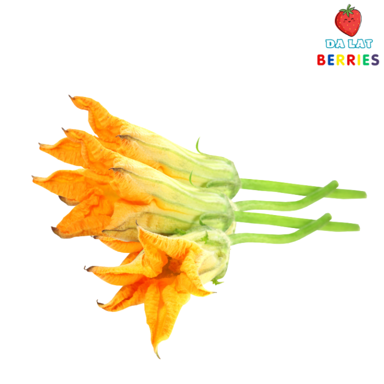 Bông Bí Đỏ - Dalat Berries - Vị ngọt từ đất lành