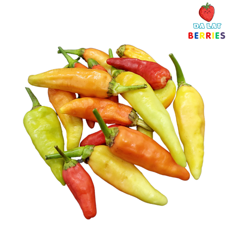 Ớt Batri - Dalat Berries - Vị ngọt từ đất lành