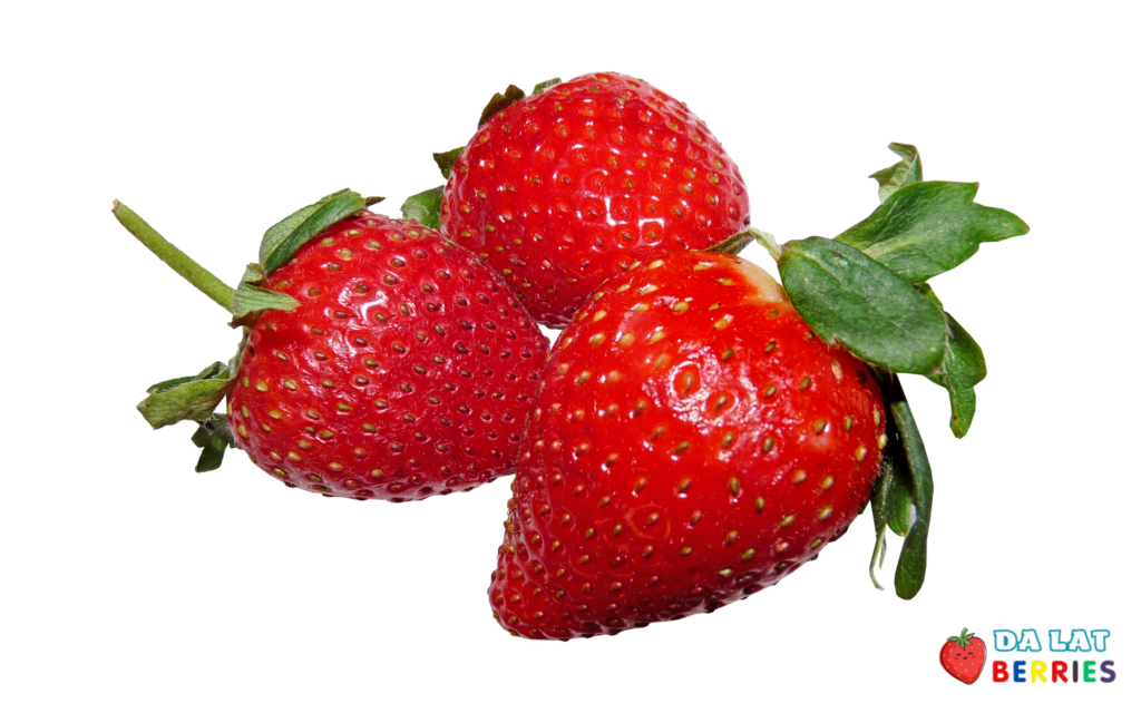 Bí Quyết Chọn Mua Dâu Tây Đà Lạt Ngon, Sạch, An Toàn - Dalat Berries ...