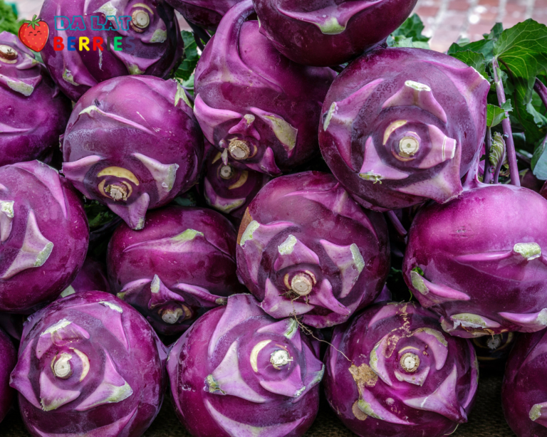 Su hào tím - Dalat Berries - Vị ngọt từ đất lành